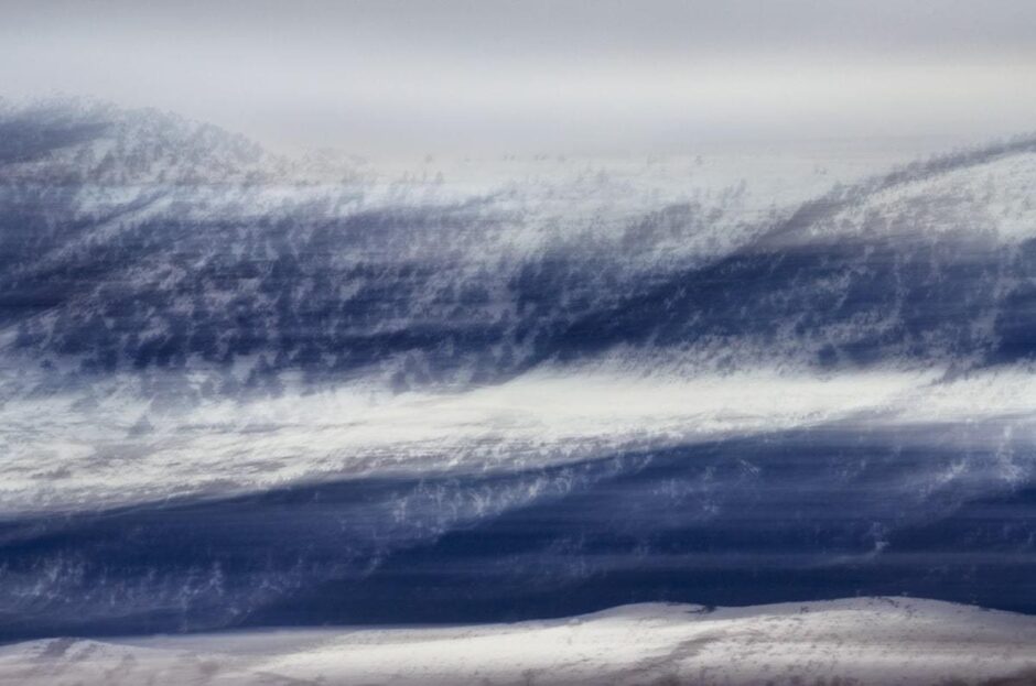 COMPLETE GUIDE TO ICM INTENTIONAL CAMERA MOVEMENT: TECHNIQUE AND ...